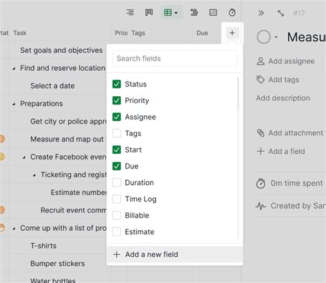 custom fields