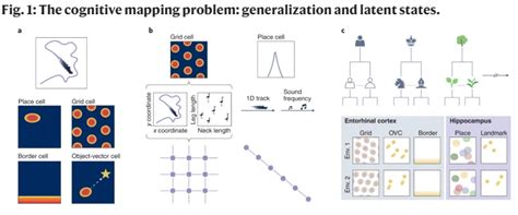 [综]认知地图、空间图式、时序经验、表征学习 知乎