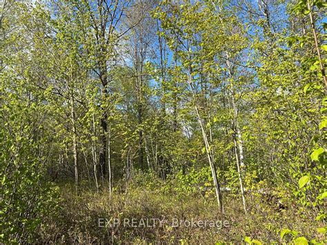 Lot 6 Casson Trail Madawaska Valley On K0j 1b0