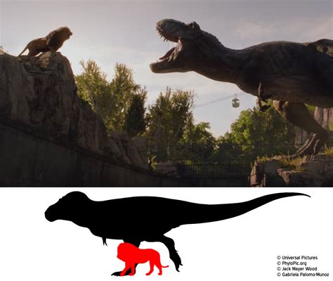 Theropoda T Rex Vs Lion Which Would Win In A Fight