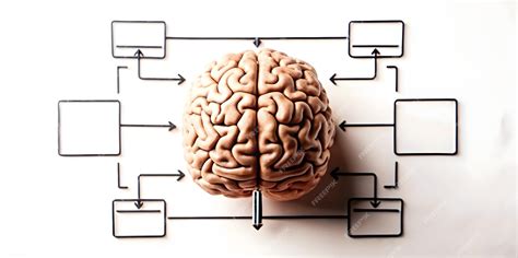 3d Flat Icon As Brain And Flowchart Concept As A Brain With A Flowchart
