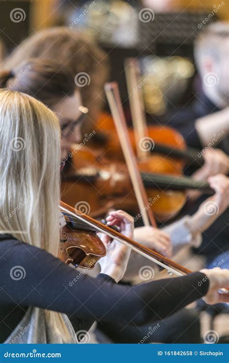 Beautiful String Instruments Violin Cello And Double Basses