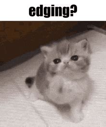 Edging Meme Edging Discover And Share S