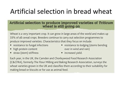 Ppt Natural And Artificial Selection Powerpoint Presentation Free Download Id 10926