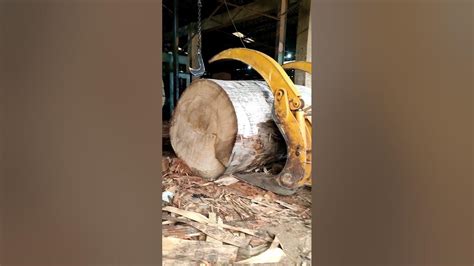 Wheeloader Crane Shortsfeed Viralvideo Fypyoutube Kumasi Machine Viral Foryou Wheels