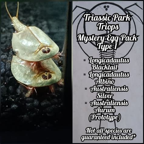 3x Ca 60 180 Eggs Mixed Eggs Rtriops Promotion Pack By Triassic