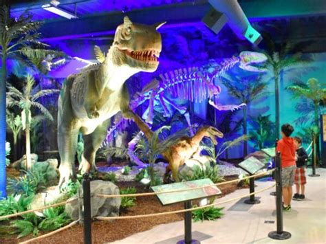Extreme Dinosaurs Exhibit At Discovery Cube Oc