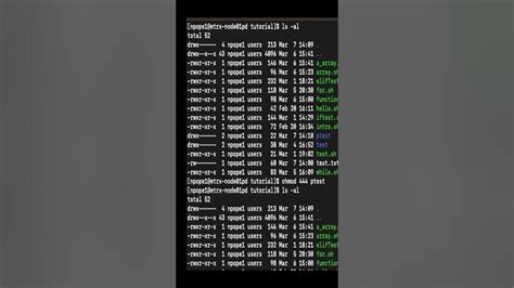 Directory Permissions In Linux Bash Shortvideo Linux Shellscripting Youtube