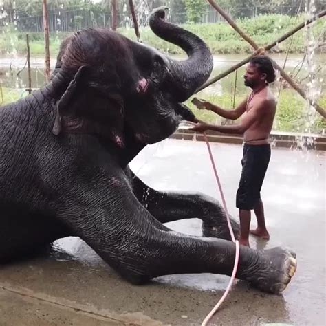 Ganesh Prasad Sahoo Posted On Linkedin