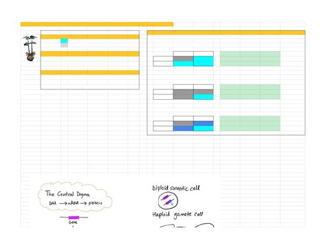 Genetics And Evolution Act I Workbook Part 3 Sunstalk Tolerance