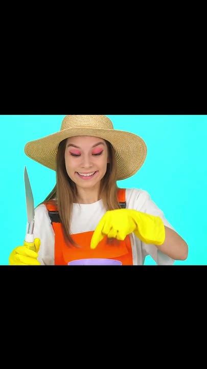 גידול אבטיח Youtube