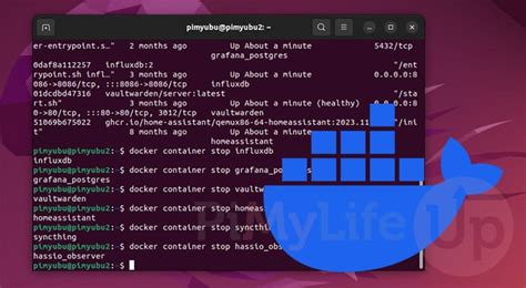 stopping a docker container pi my life up