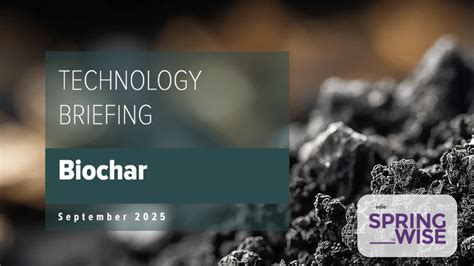 How Biochar Goes Beyond Farming And Carbon Credits Springwise