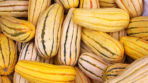 Why Is My Delicata Squash Orange Ycwin