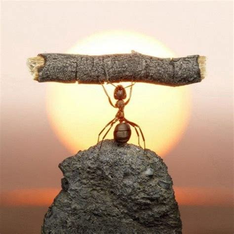 Natalie Siebert Email Address And Phone Number The Bi State Develpment