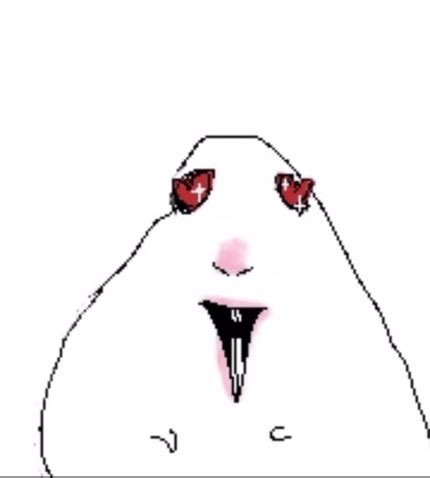 Hamster Meme Meme Hamster Meme Discover And Share S