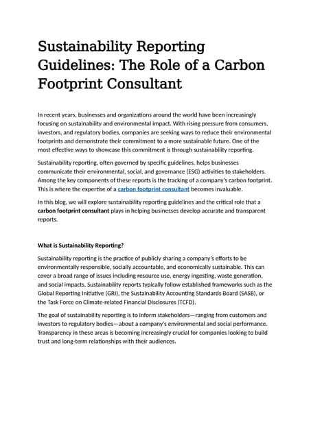 Sustainability Reporting Guidelines Role Docx