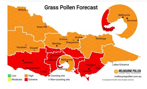 ‘extreme Pollen Count Levels Strike Victoria Herald Sun