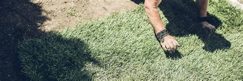 Find Turf Suppliers Australia Wide Myhometurf