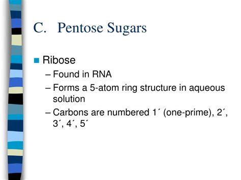 Ppt Nucleic Acid Structure Powerpoint Presentation Free Download