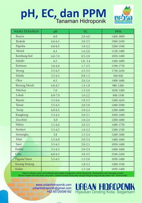 Perkebunan Sayur Hidroponik Kebun Sayur