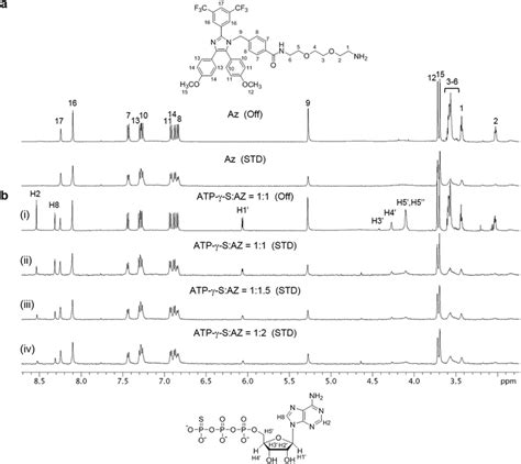 1d Proton Std Nmr Spectra A Off Resonance Top And Std Spectra