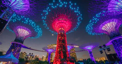 Gardens By The Bays Free Light And Sound Show Garden Rhapsody Returns