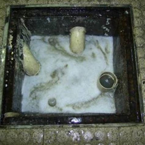 Ecobacter Gt Ecotab Química Niels Ltda