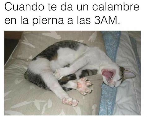 Los Calambres Son Terribles Legendas Para Fotos Engracadas Falhas