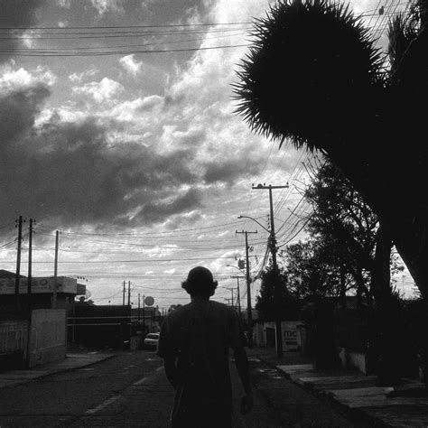 Albach 01 Albach • Instagram Photos And Videos