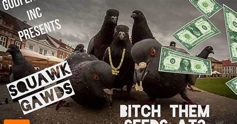 Squawk Gawdz Album On Imgur