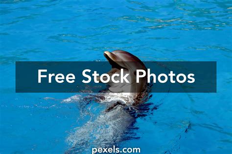 Water Splash Greenscreen Photos Download The Best Free Water Splash