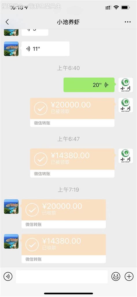 做鱼菜共生学习是减少你走弯路最好的捷径 搜狐大视野 搜狐新闻