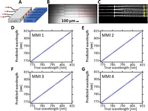 Multi Mode Interference Waveguide Chip Scale Spectrometer Invited