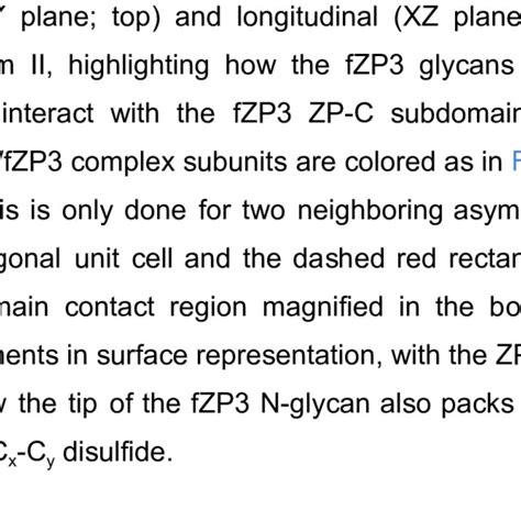 Figure S7 Alphafold Interaction Matrix Of Human Zp Subunits Related