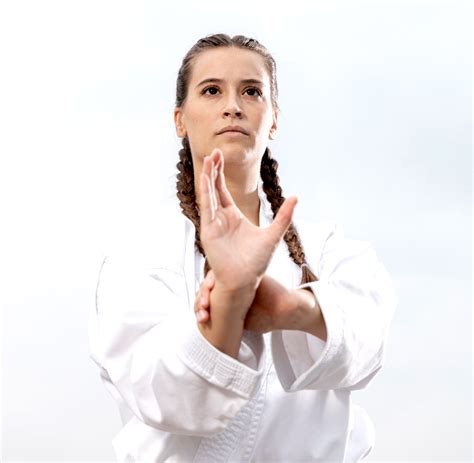 Budô A Mente E O Corpo Revista Budô