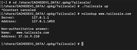 Unable To Log Into Tailascale On Qts 5 · Issue 82 · Tailscaletailscale Qpkg · Github