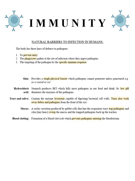 Immunity Notes Pdf Immune System Antigen