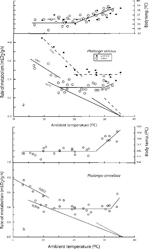 Rate Of Metabolism And Body Temperature As A Function Of Ambient Download Scientific Diagram