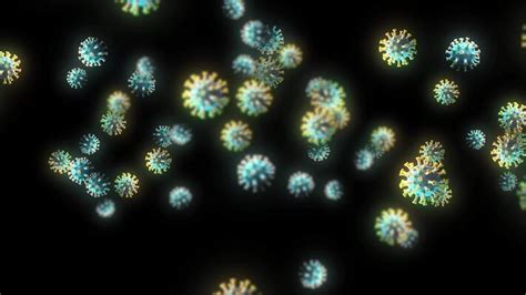 Virus Animation Stock Video Footage For Free Download