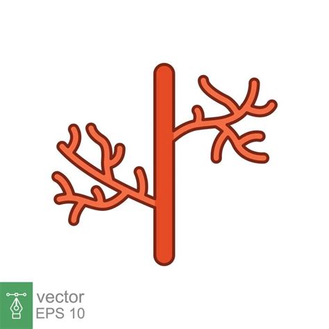 Vascular Vector Art Icons And Graphics For Free Download