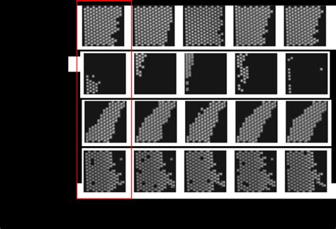 Results Of Image Pre Selection From The Contrastive Learning Method Download Scientific