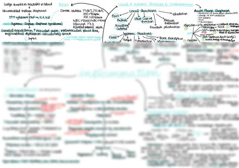Solution Palacký University Pathophysiology Inflammation Guideline 2