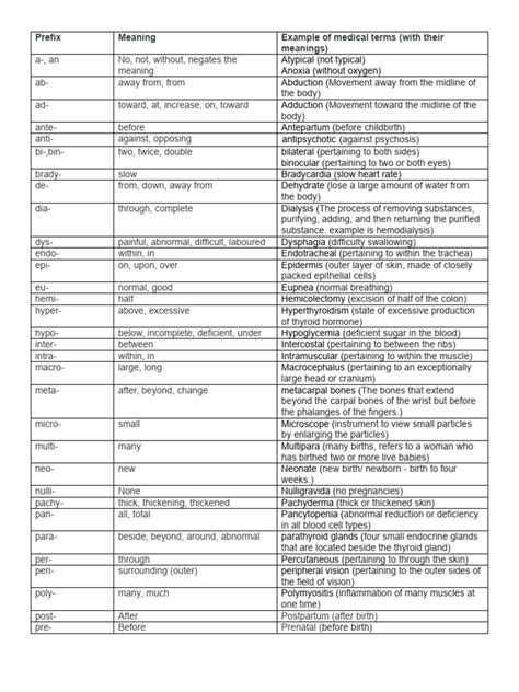 Prefix Examples And Meanings Pdf Medical Specialties Clinical
