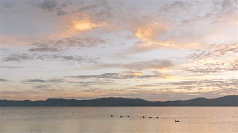 Sunrise Tahoe Elopement At Ed Zberg Sugar Pine Point State Park