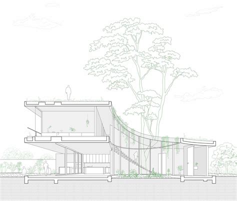 This House Was Built Around A 100 Year Old Oak Tree Design Skill Magazine