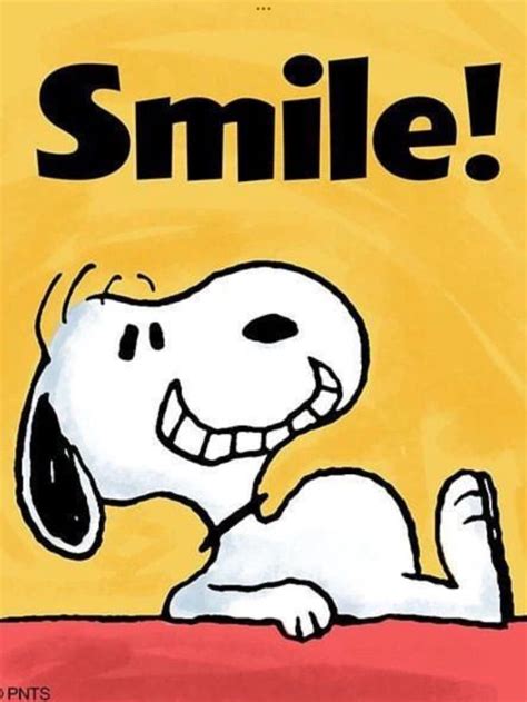 Pin By Lis Green On Peanuts Snoopy Cartoon Snoopy Pictures Snoopy