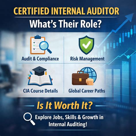 A Certified Internal Auditor What Does It Do Vgld