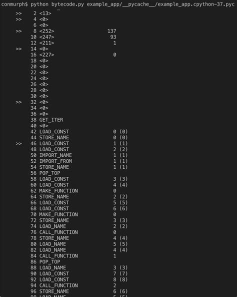 How Does The Python Interpreter Interpret My Python Tl10k