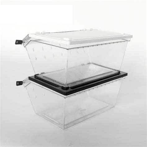 ⚡️buy Maxbell Reptile Lizard Spider Beetle Scorpion Insect Vivarium Feed Rearing Box Black At